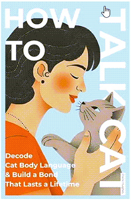 How to Understand Cat Body Language: From Tail Twitches to Ear Signals